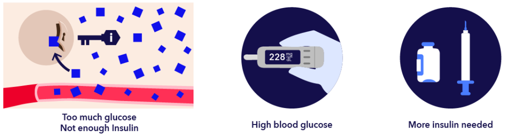 What is Insulin Resistance? - The LOOP Blog